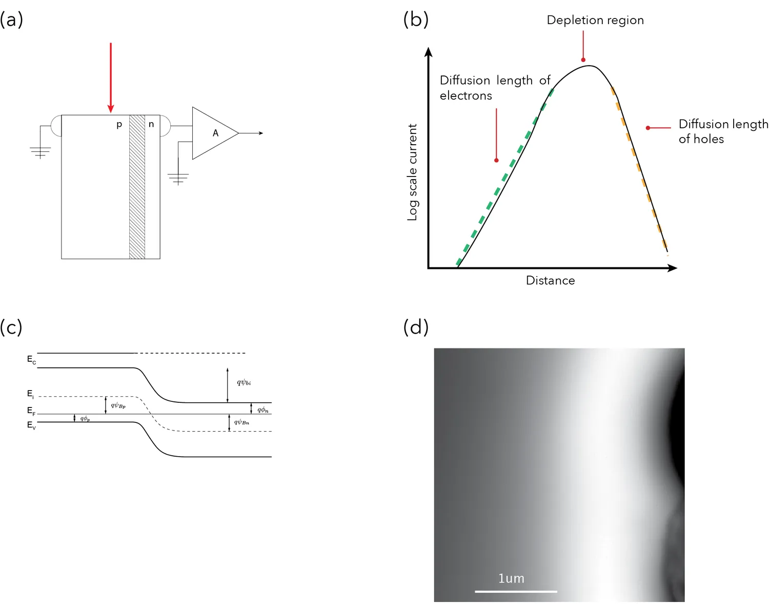 电子束感生电流（EBIC）的工作原理 - 上海禾早仪器有限公司